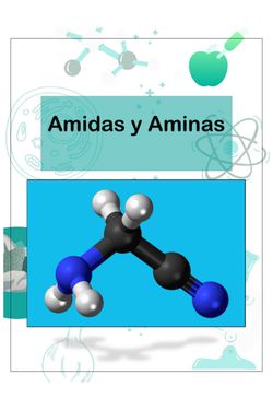 Book Creator | amidas y aminas