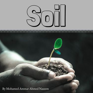 Book Creator | Soil