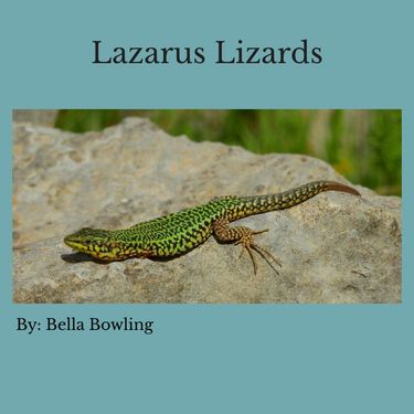 Book Creator | Lazarus Lizards