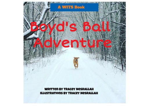 Book Creator | Boyd's Ball Adventure