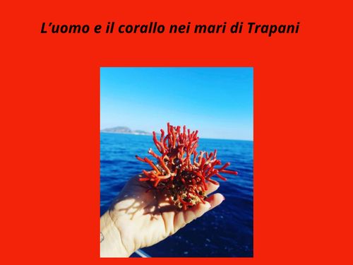 Book Creator | L'uomo e il corallo nei mari di Trapani