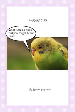 Book Creator | Parakeets