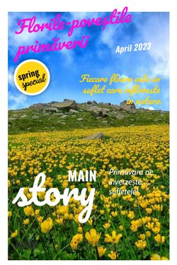 Book Creator | e book