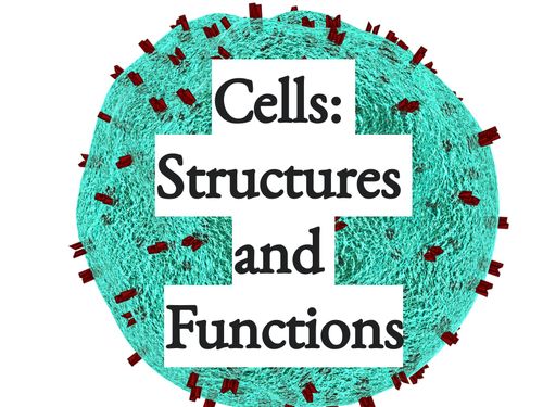 Book Creator | Cells: Structures and Functions