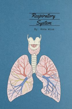 Book Creator | Respiratory System