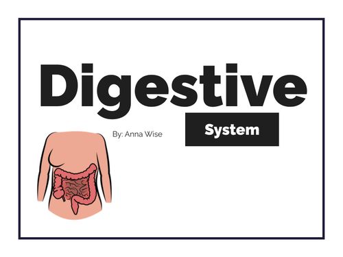 Book Creator | The Digestive System
