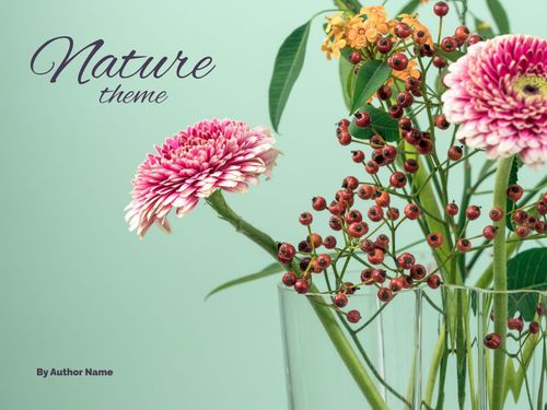 Book Creator | sdsadsa