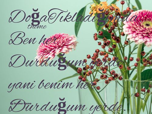 Book Creator | Doga