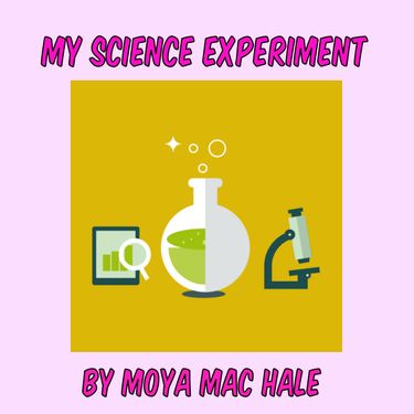 Book Creator | Science Experiment