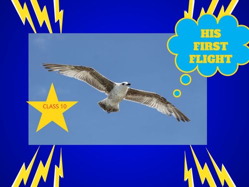 Book Creator | HIS FIRST FLIGHT