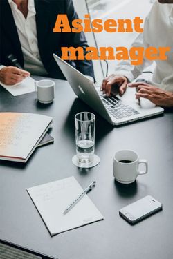 Book Creator | Asistent manager