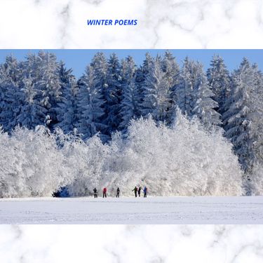 Book Creator | Winter poems
