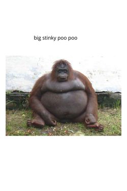 Book Creator | Big Stinky Poo Poo