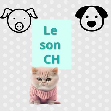 Book Creator | Le son CH