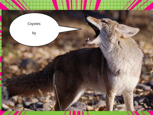 Book Creator | COYOTES