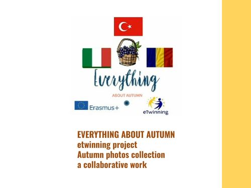 Book Creator | (copy) everyting about autumn