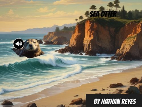 Book Creator | Sea Otter