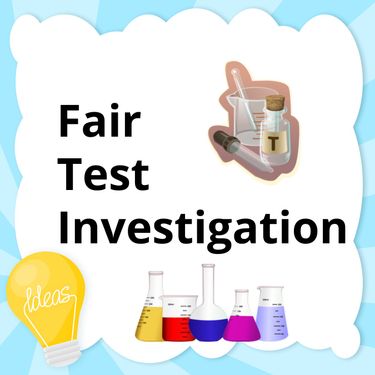 Book Creator | Fair Test Investigation