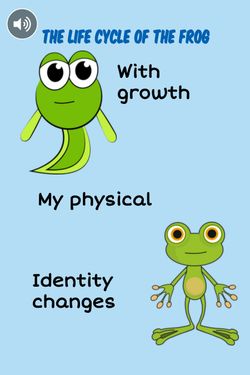 Book Creator | gr 3 FM life cycle of the frog