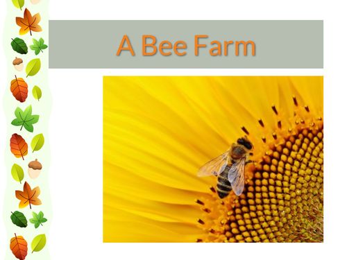 Book Creator - A Bee Farm