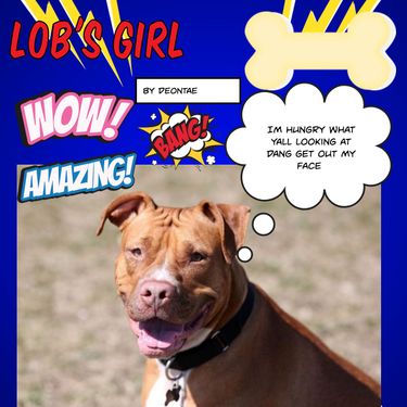 Book Creator | Lob's Girl