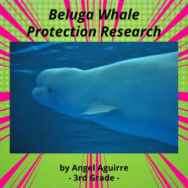 Book Creator | Beluga Whale Protection Research