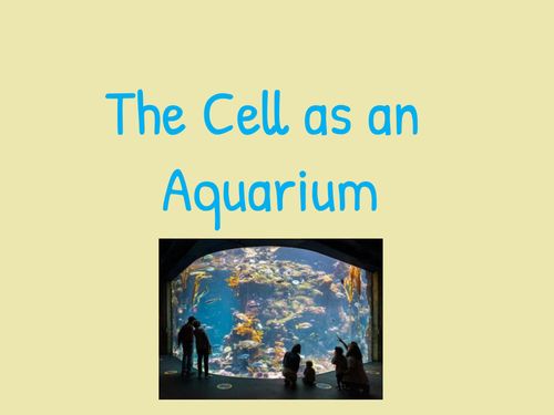 Book Creator | The Cell Aquarium