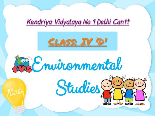 Book Creator | My EVS Class