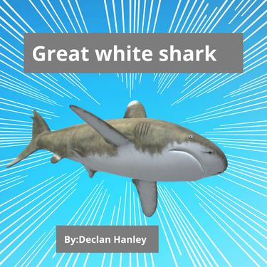 Book Creator | Ocean Book