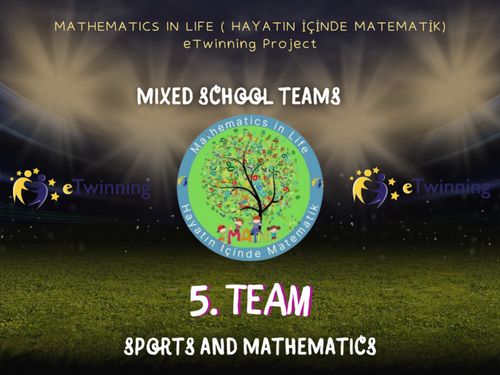 Book Creator | 5. Team Sports and Mathematics eBook