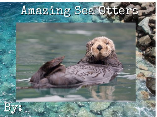 Book Creator | Sea Otters