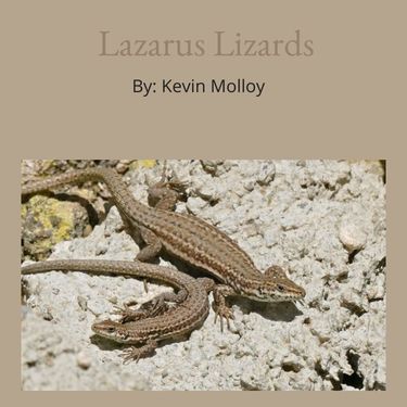 Book Creator | Lazarus Lizards
