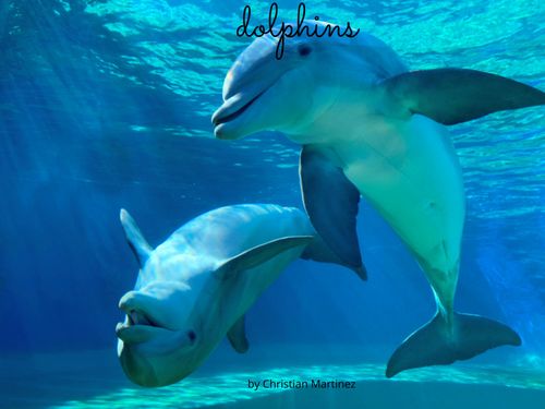 Book Creator | Delfines