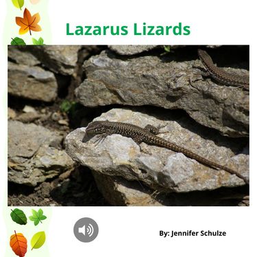 Book Creator | Lazarus lizards