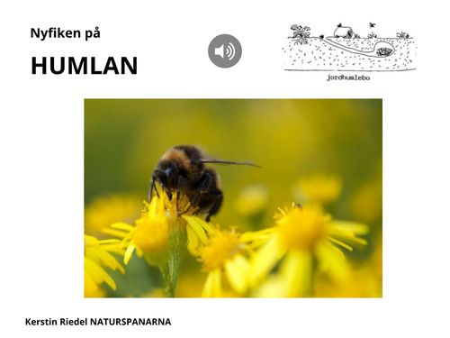 Book Creator | Nyfiken på HUMLAN