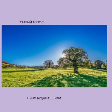 Book Creator | My Since Book