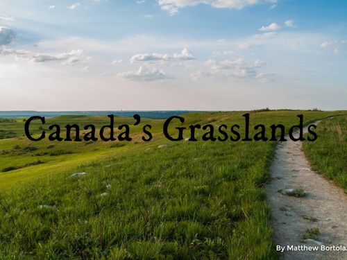 Book Creator | Canadian Grasslands