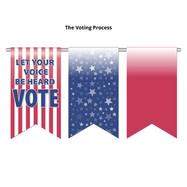 Book Creator | The Voting Process in America Today