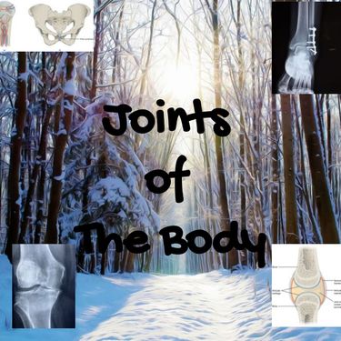 Book Creator | joints book