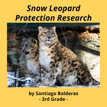 Book Creator | Snow Leopard Protection Research