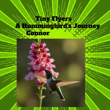 Book Creator | Tiny Flyers- Connor