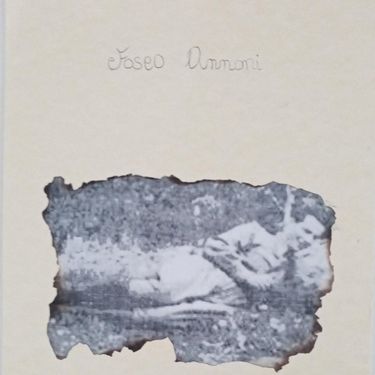 Book Creator | I GIUSTI: Fosco Annoni