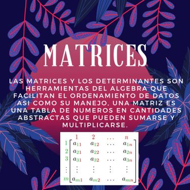 Book Creator | ALGEBRA MATRICES