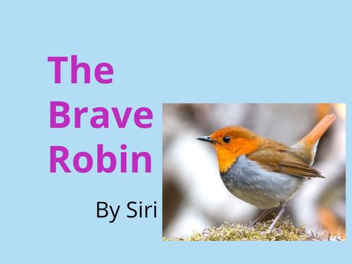 Book Creator | The Brave Robin