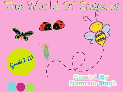 Book Creator | The World of Insects