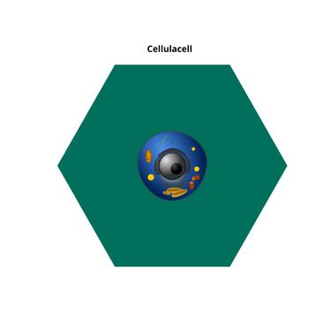 Book Creator | La cellula