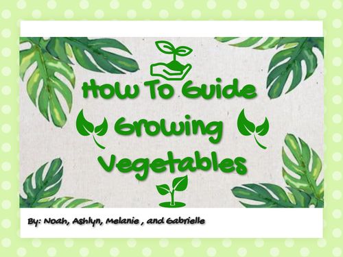 Book Creator | How to Guide to Growing Vegetables