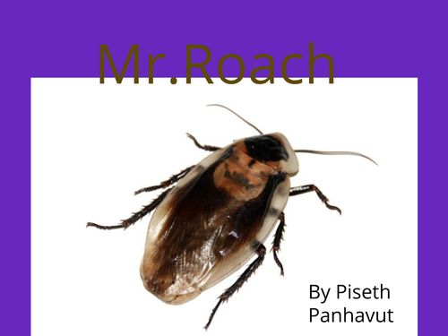 Book Creator | Mr.Roach