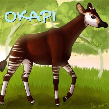 Book Creator | Okapi