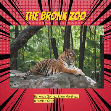 Book Creator | Bronx Zoo